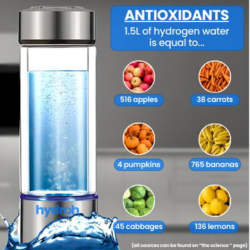 Hydroh Hydrogen Water Bottle: Elevate Hydration, Transform Health ...