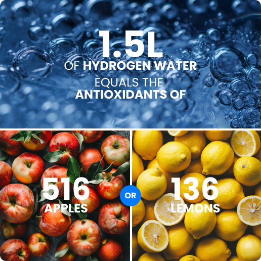 Hydroh Hydrogen Water Pitcher: Revitalize Your Hydration Journey! 💦🌟 – Hydroh Bottle