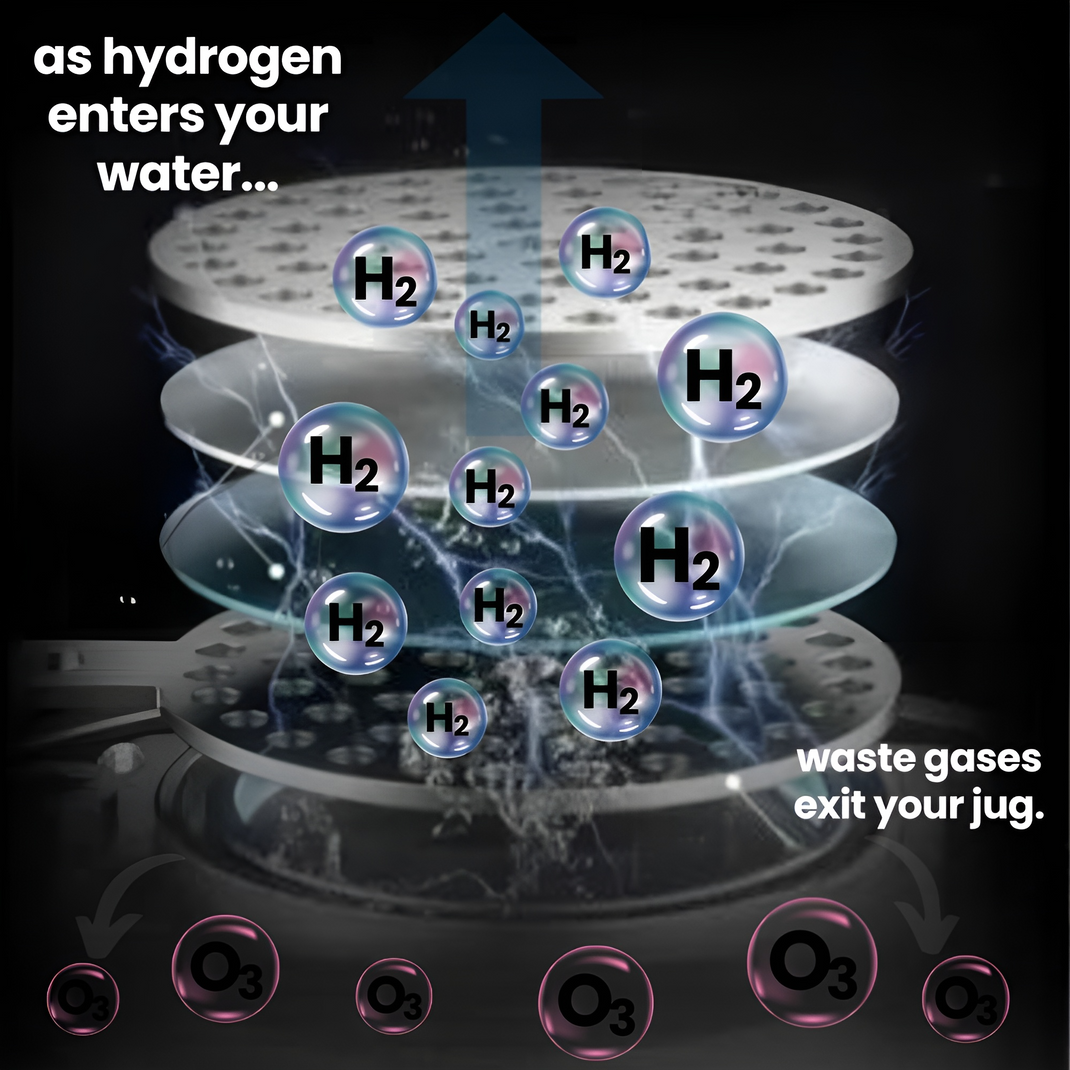 Hydroh Hydrogen Water Jug: Quench Deeper, Thrive Better! 💧 – Hydroh Bottle