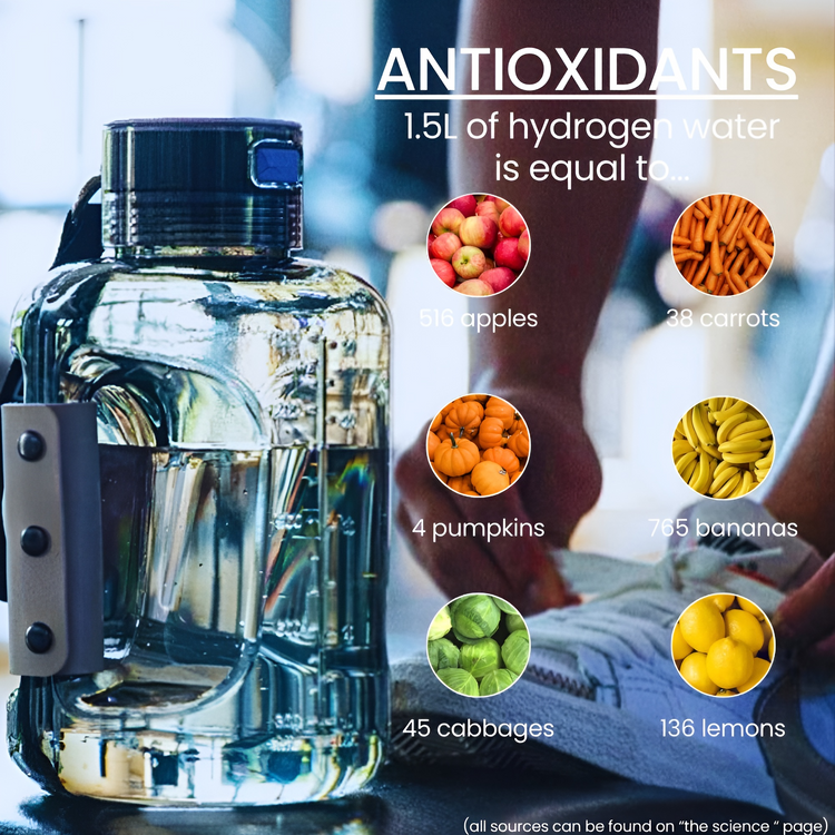 Hydroh Hydrogen Water Jug: Quench Deeper, Thrive Better! 💧 – Hydroh Bottle